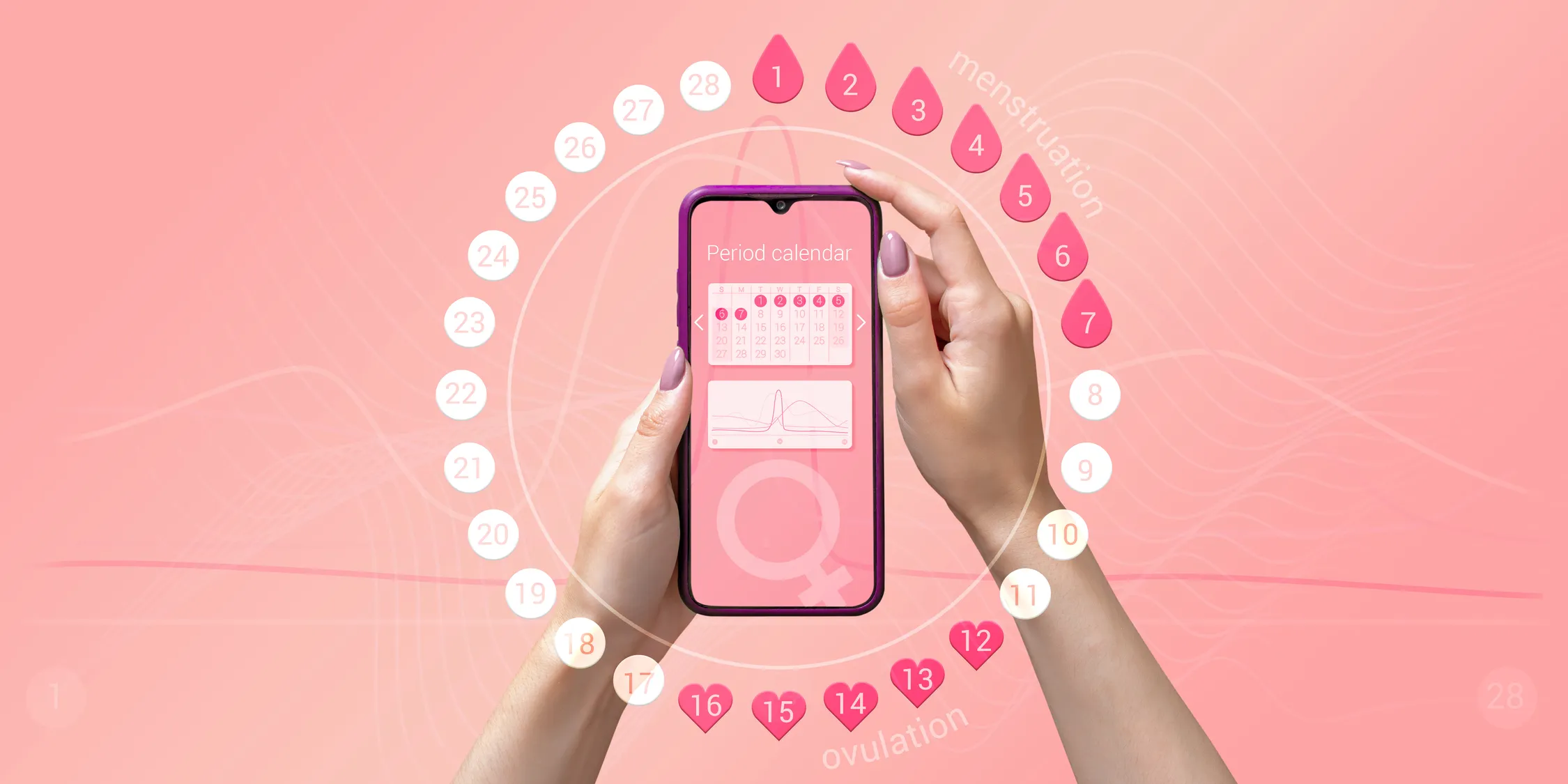 Ovulation Calculator - Track Your Fertile Window & Boost Conception