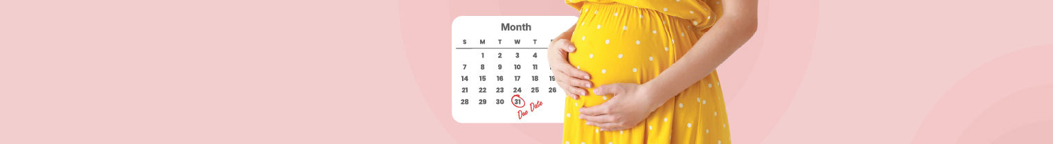 Due Date Calculator - Estimate Your Baby’s Arrival | Accurate & Free