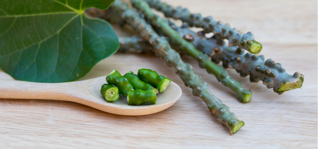 5 Ways In Which Giloy Boosts Your Overall Health