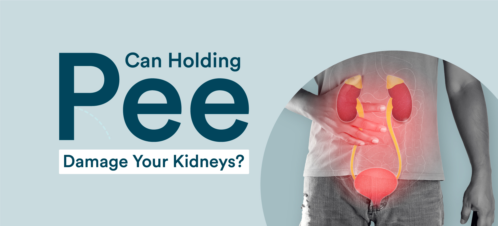 Why You Should Never Hold Your Pee?