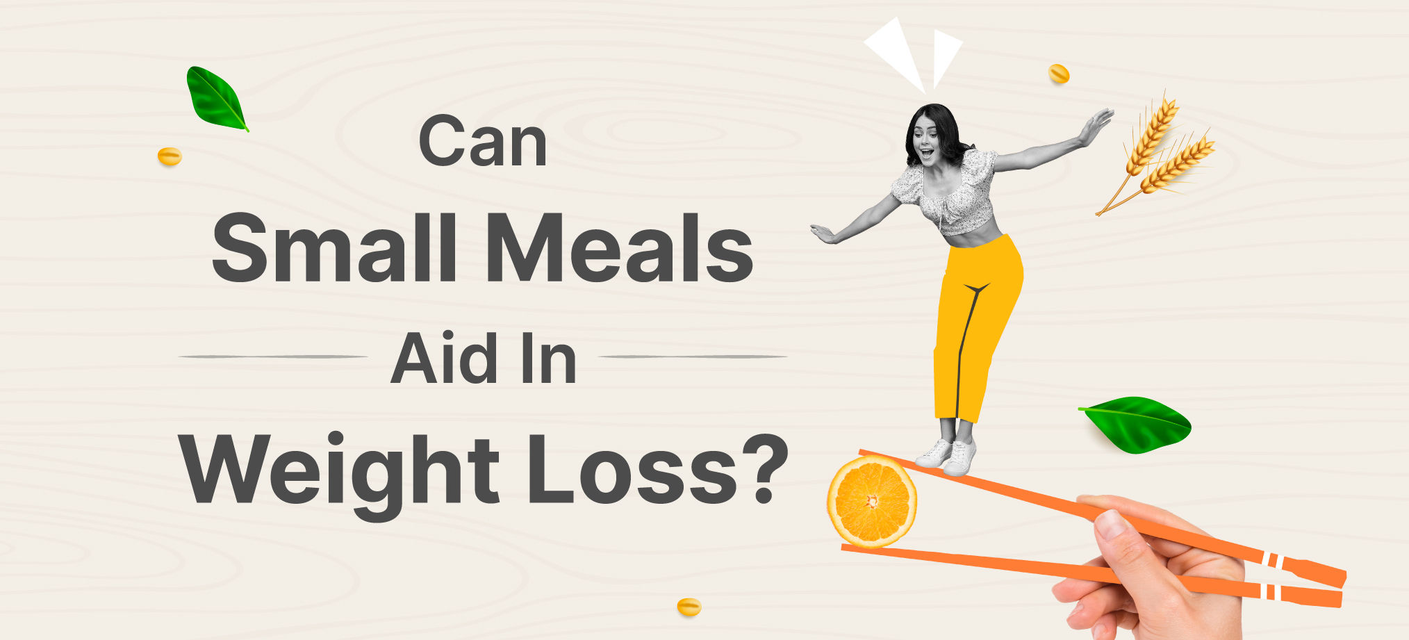 Several Small Meals a Day or One Big Meal a Day, The Better Choice