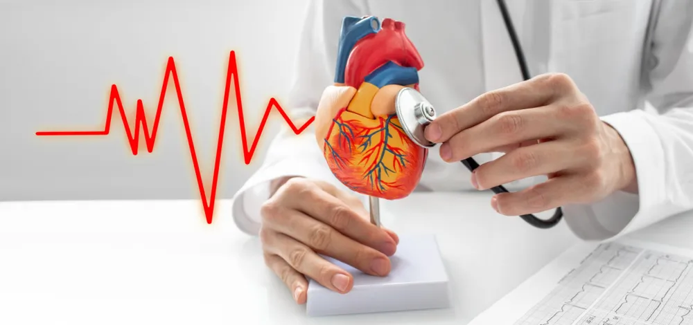 electrocardiography echo