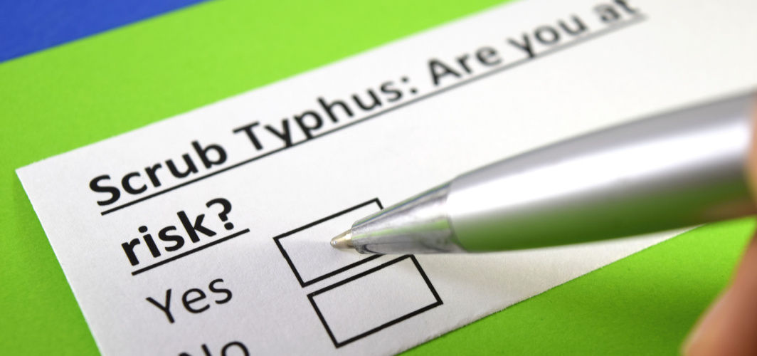 Scrub Typhus: Cause, Symptoms, Treatment, Prevention