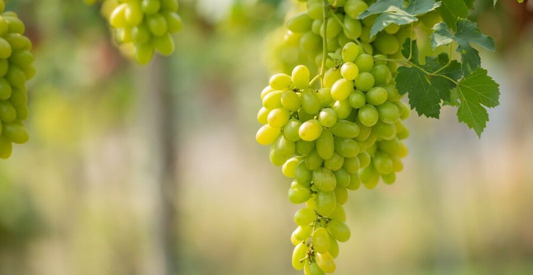 Apollo 247 - Online Doctor Consultation & Book Lab Tests at Home