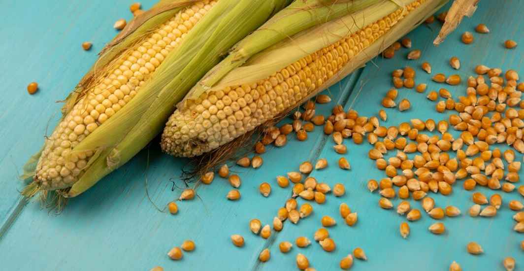 Maize and Diabetes: Nutritional Benefits and Optimal Consumption Methods