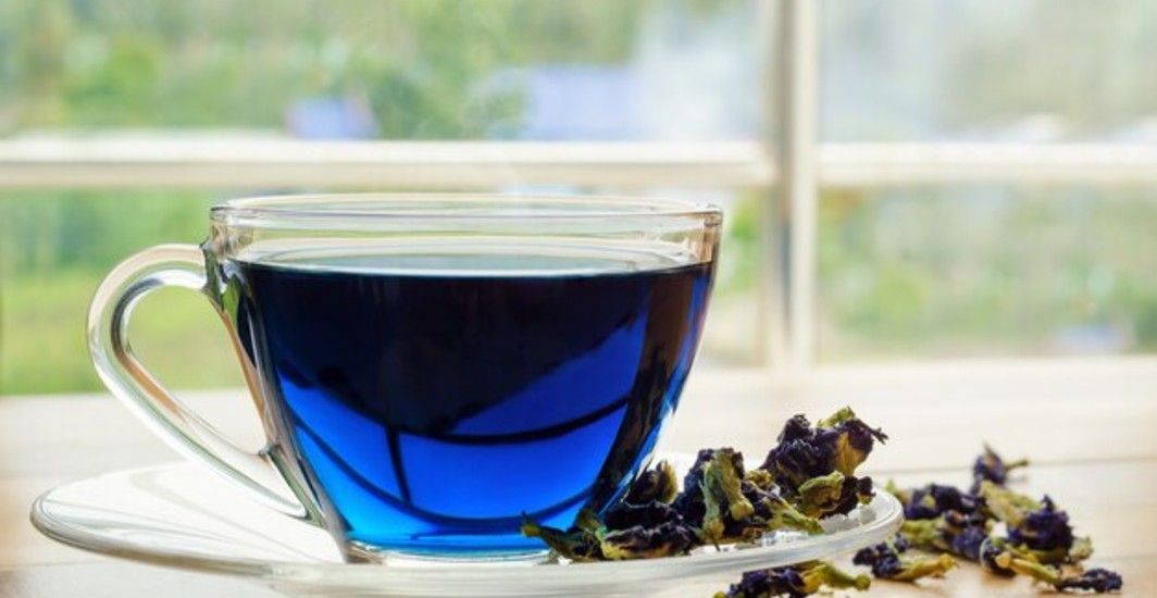 Blue Tea Benefits: Unlock the Power of This Antioxidant-Rich Drink