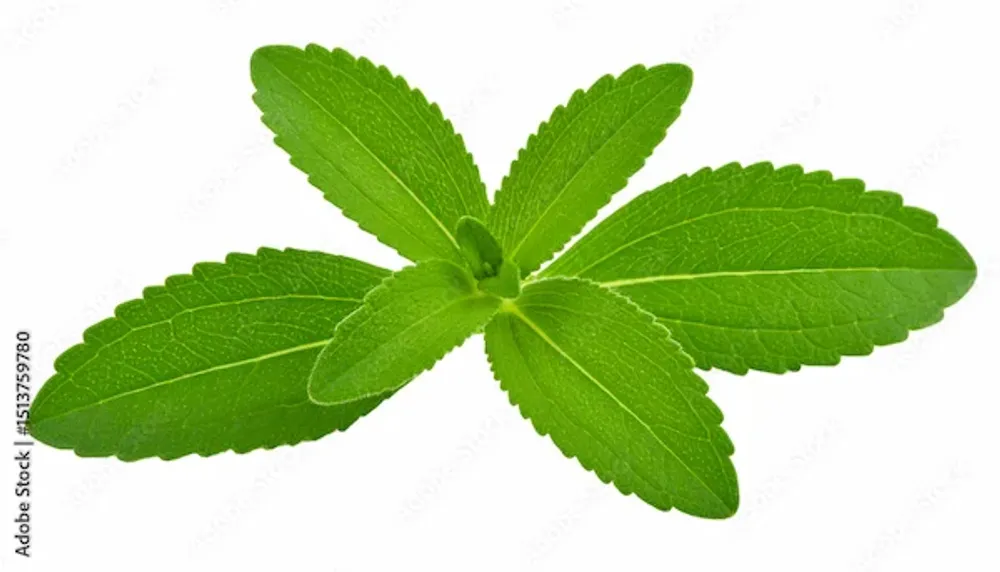 stevia leaf extract side effects