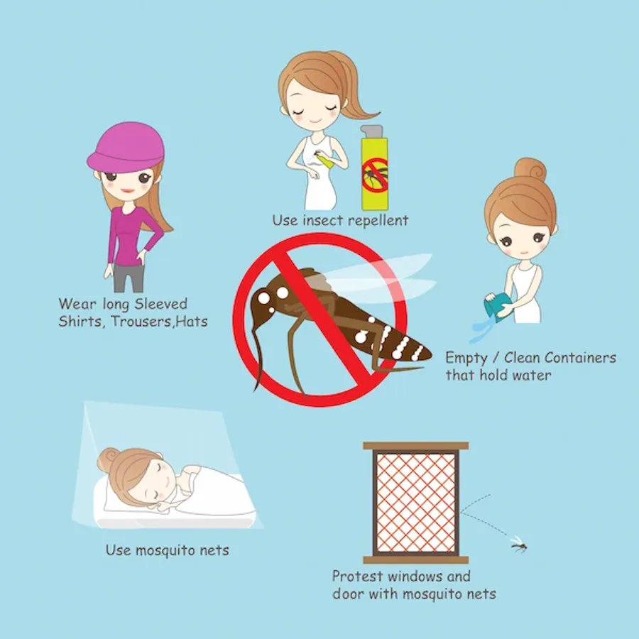 10 Effective Methods to Prevent Malaria