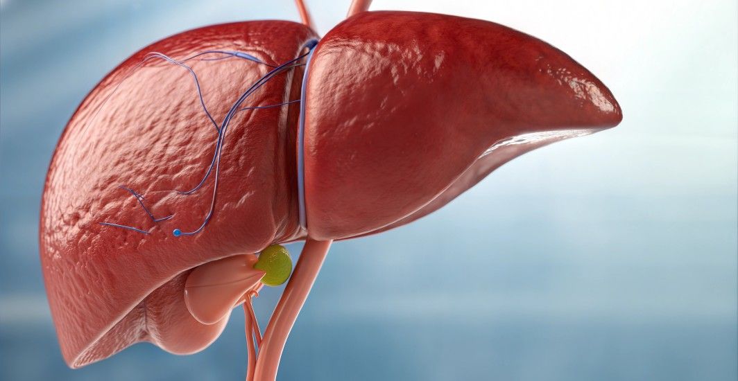 Top Ayurvedic Drops and Tinctures for Liver Protection
