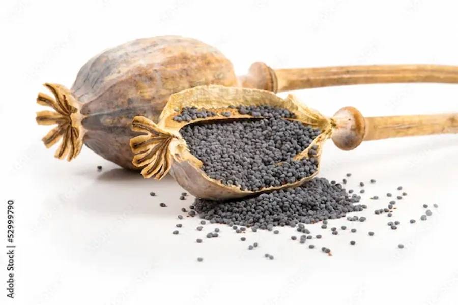 Poppy Seeds: Health Benefits And Uses
