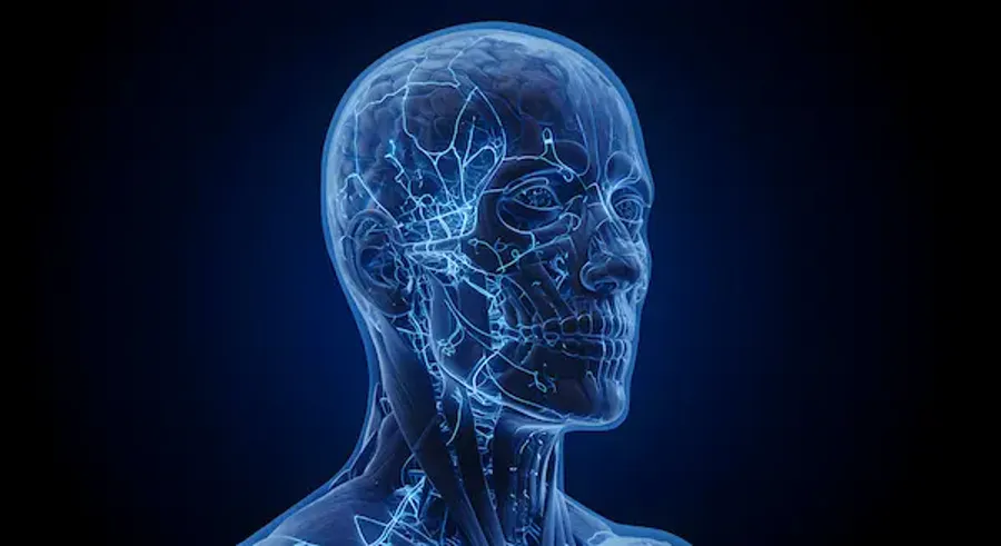 Nuchal Translucency Scan Overview