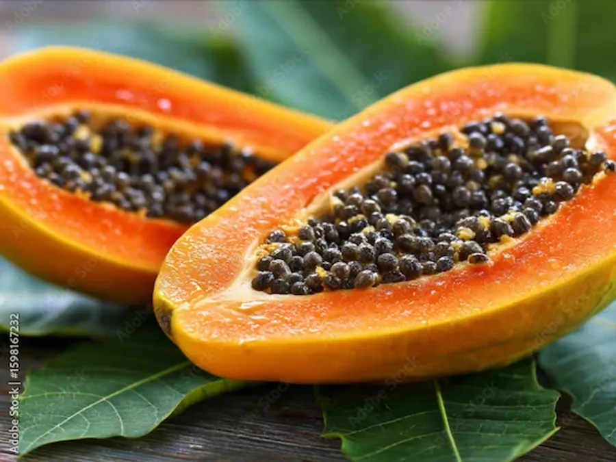 Papaya and Its Effects on Diabetes