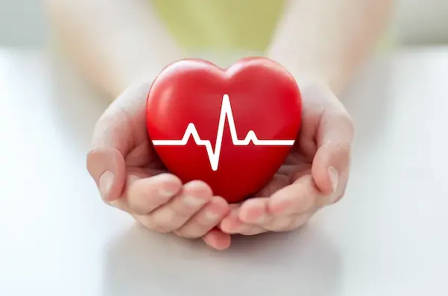Ecg Vs Echo Understanding The Difference For Your Heart Health 3870