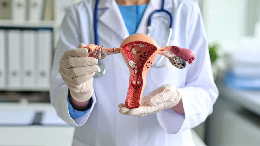 Essential Tips For Reproductive Health