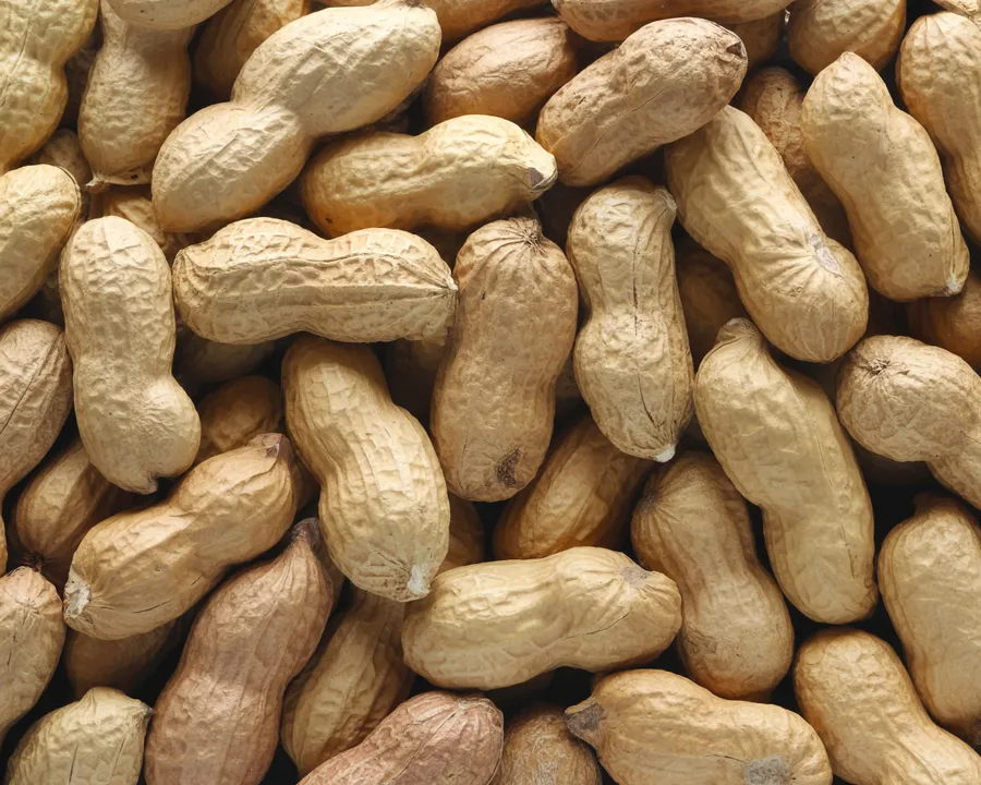Moongfali (Groundnuts) Benefits