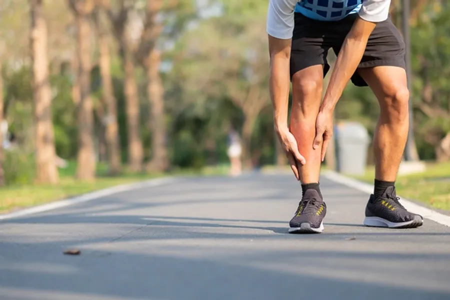 Guide to What Happens During the Different Phases of a Marathon