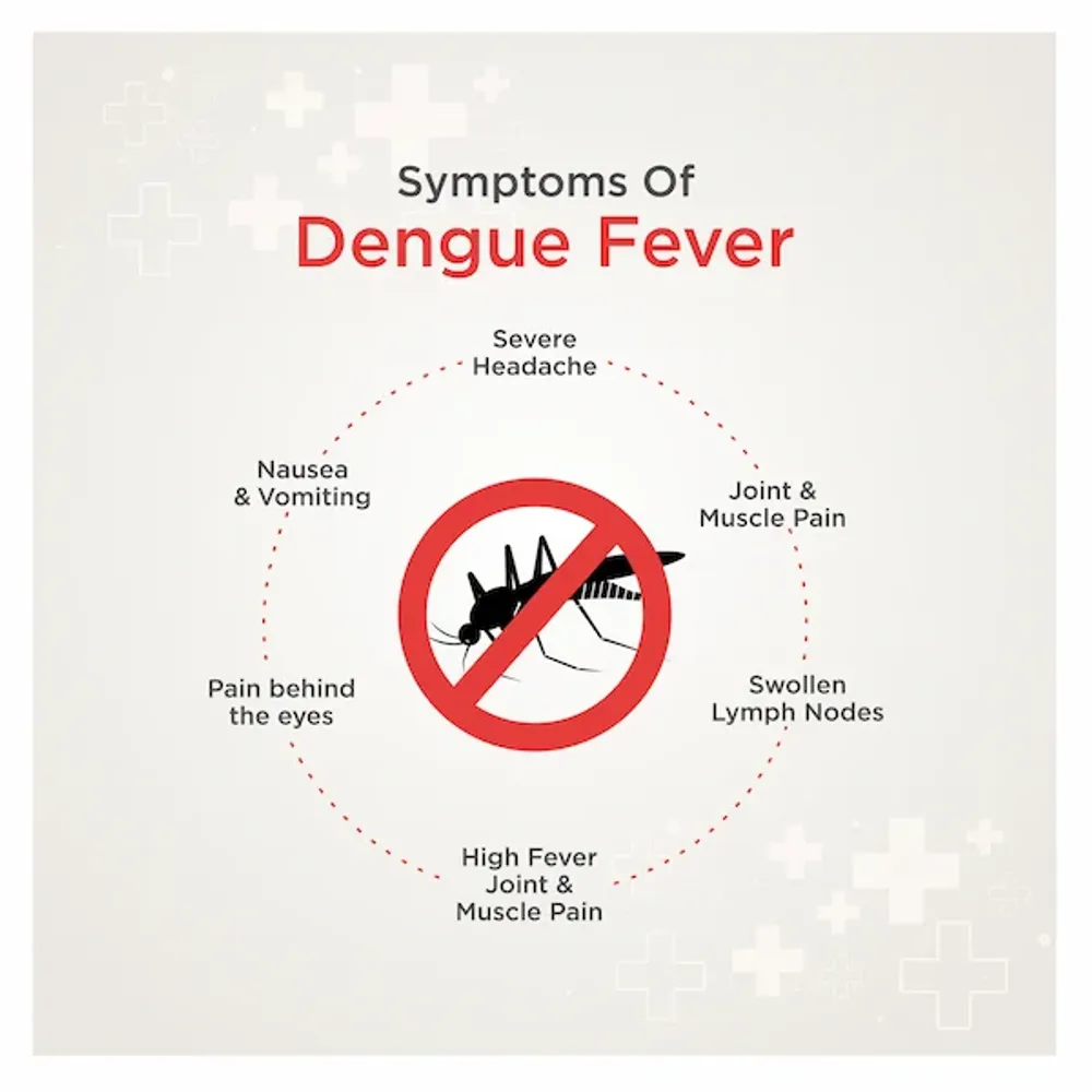 dengue fever causes