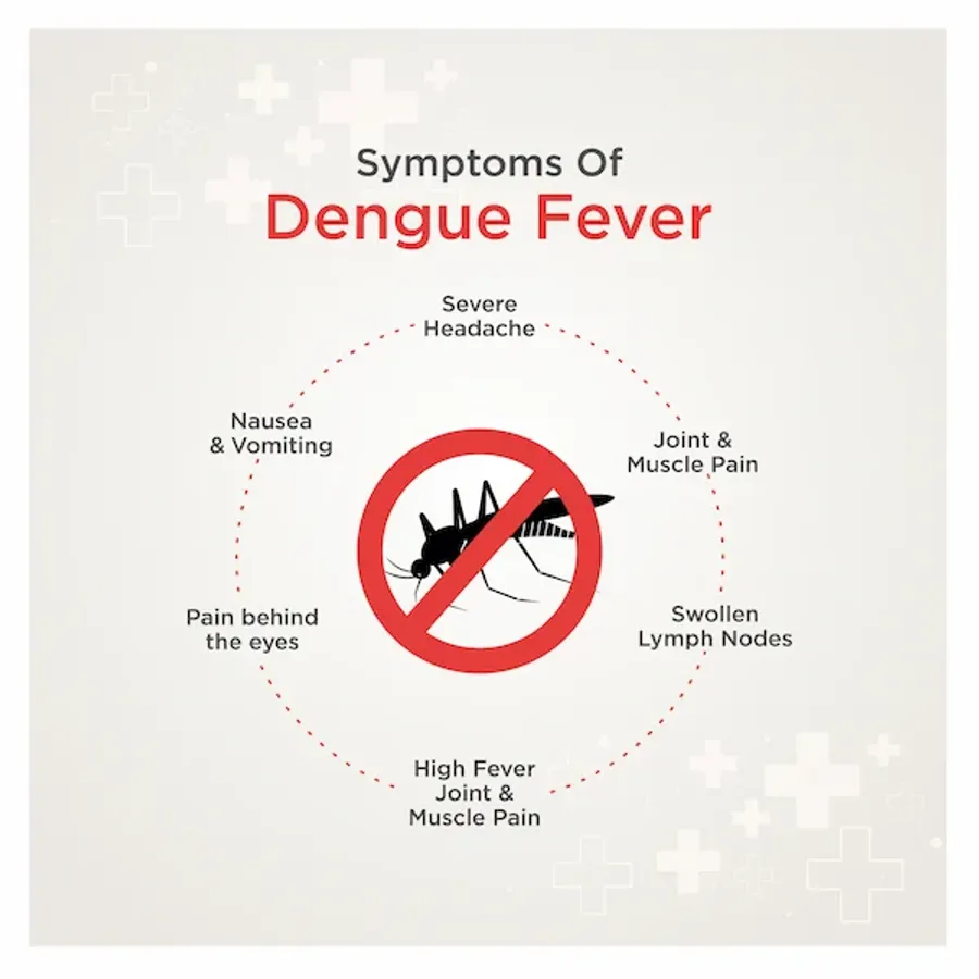 Dengue Fever: Symptoms, Treatment, and Prevention Guide