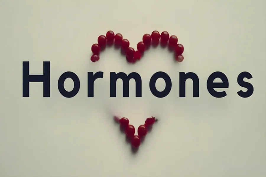 Understanding SHBG and Its Implications