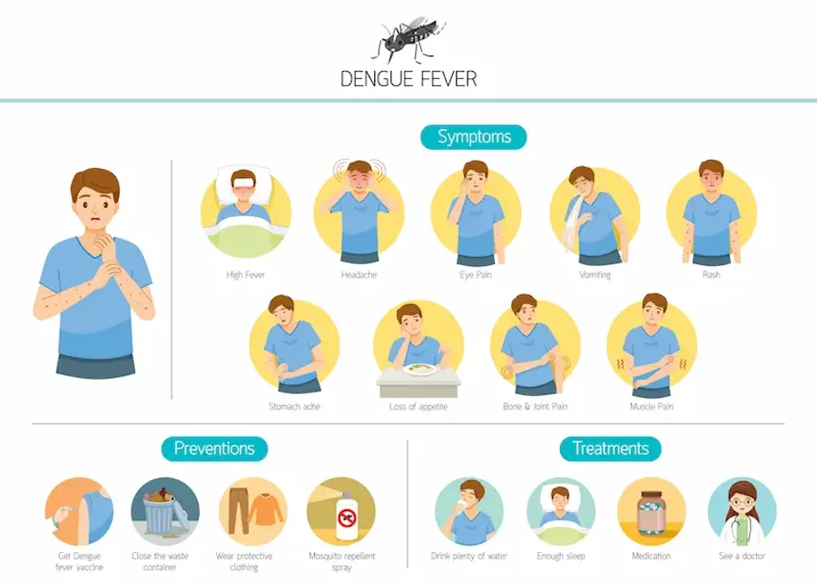 Ultimate Diet Guide for Dengue Fever Recovery