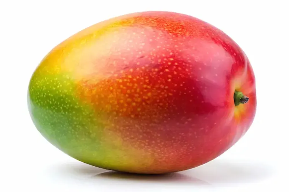 one mango sugar content