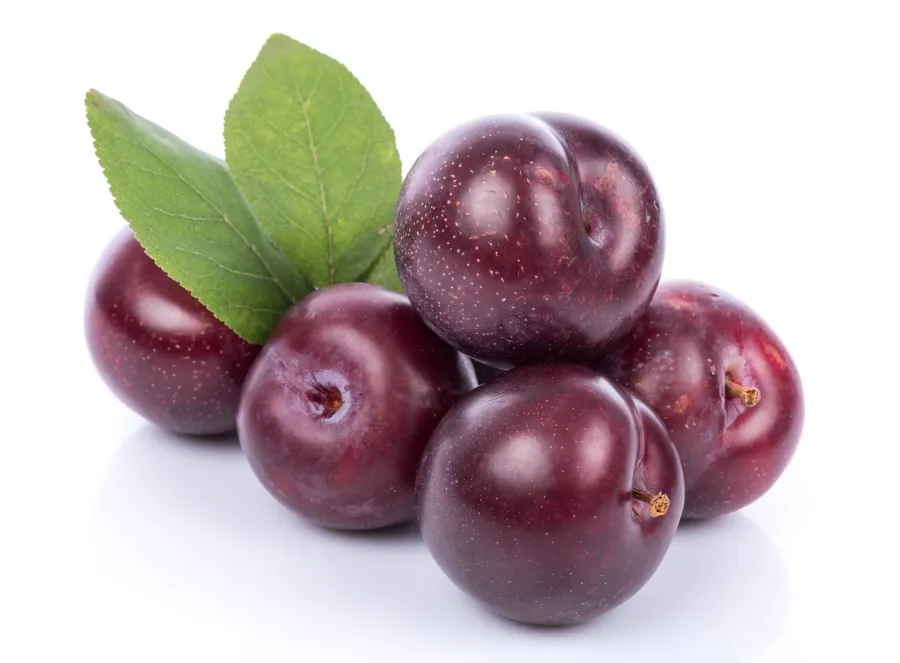 Plum Fruit: Benefits and Uses