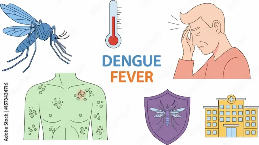 Symptoms of Dengue Fever Explained