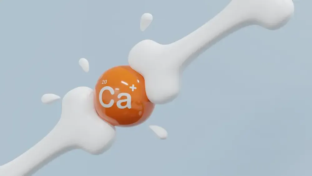 calcium bones and teeth