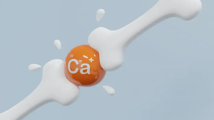 Calciums Role in Bone and Dental Health