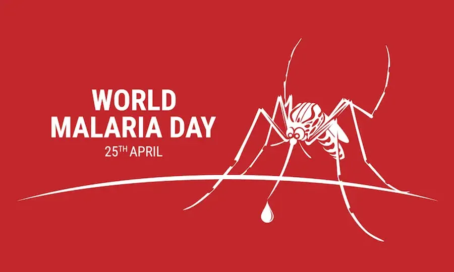 Malaria Diet Guide Best Foods to Eat and Avoid During Recovery