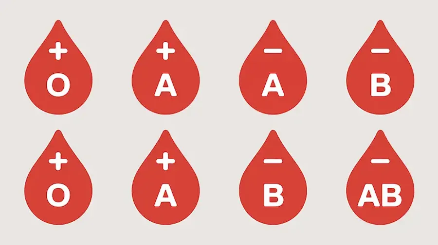 Different Types of Blood Groups Explained