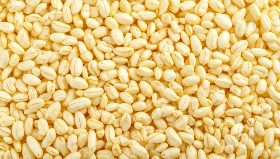 Puffed Rice Benefits in Ayurveda
