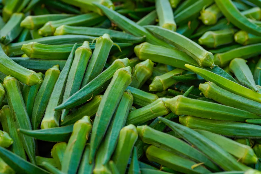 Lady Finger (Bhindi) Ayurvedic Uses, Benefits, and Side Effects