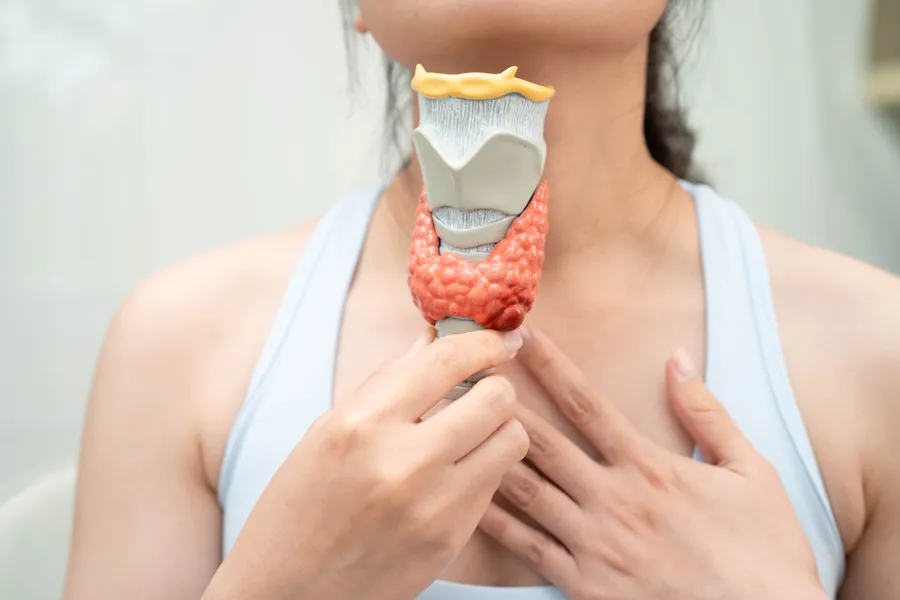 Thyroid Blood Supply: Understanding Its Role in Thyroid Health