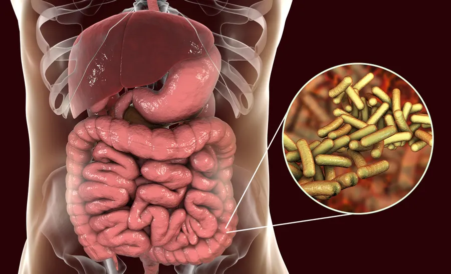 Essential Guide to Poison Ingestion: Recognition, Types, and Symptoms