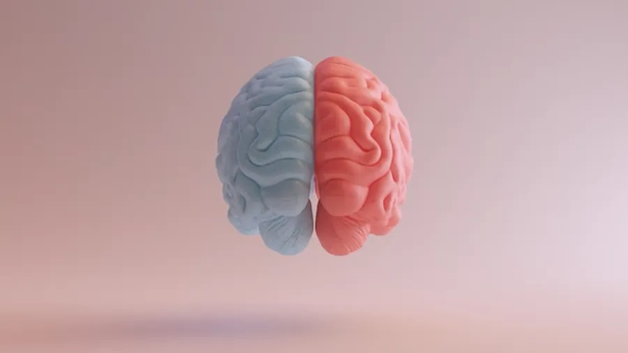 Frontal Lobe Functions And Issues: Understanding The Brain's Control Center