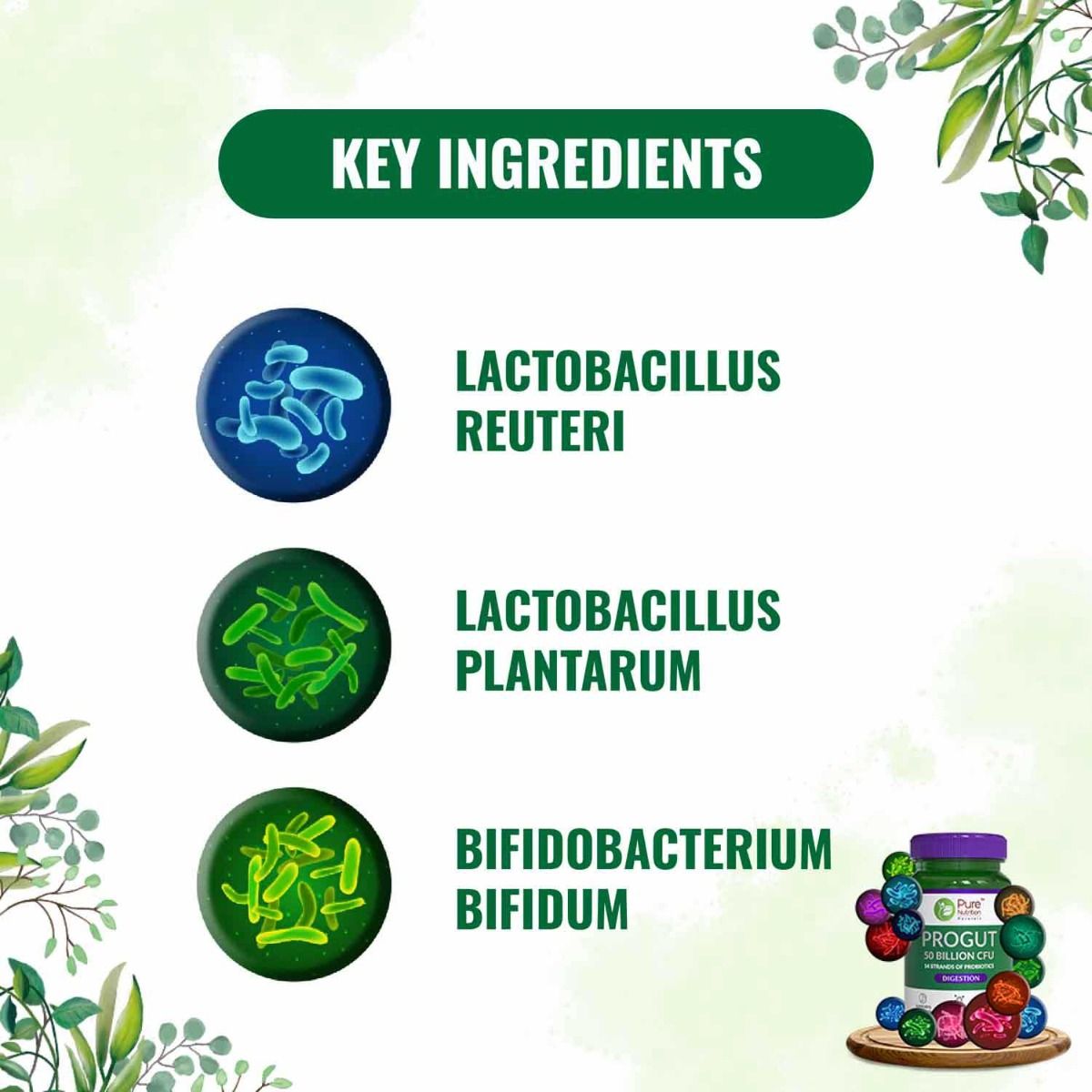 Pure Nutrition Progut 50 Billion CFU 600 mg, 60 Capsules Price, Uses ...