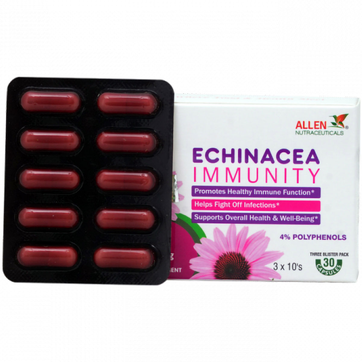 Buy Allen Nutraceutical Echinacea Immunity 400mg, 30 Capsules | 19 ...