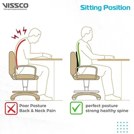 Buy Vissco Orthopaedic Back Rest Large, 1 Count | 19 Minutes Delivery ...