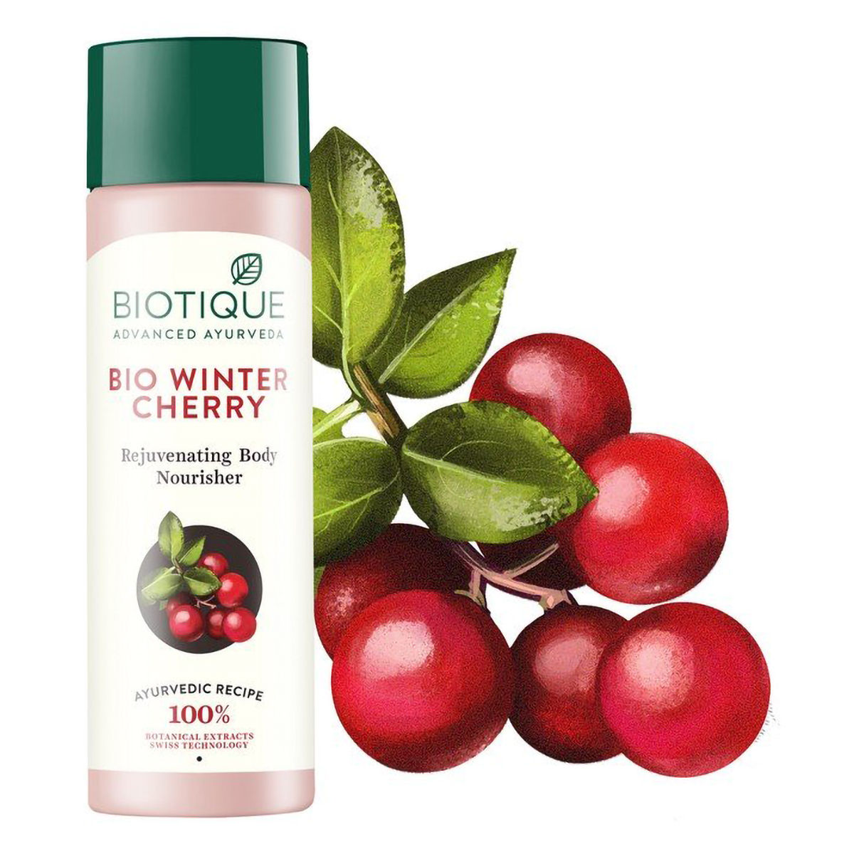 Biotique Winter Cherry Rejuvenating Body Lotion, 120 ml Price, Uses ...