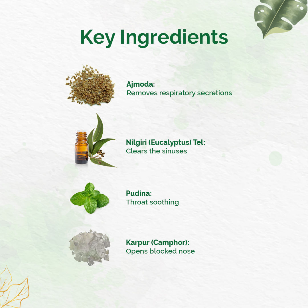 Dr. Vaidya's Inhalant, 10 gm Price, Uses, Side Effects, Composition ...