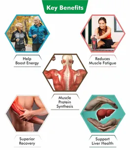 Fullyte BCAA+ Watermelon Flavour Powder | Uses, Side Effects, Price ...