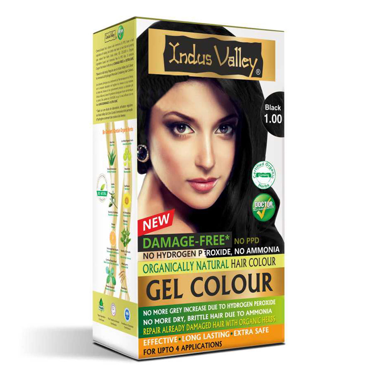 Indus Valley Organically Natural Black 1.0 Hair Color, 200 ml Price ...