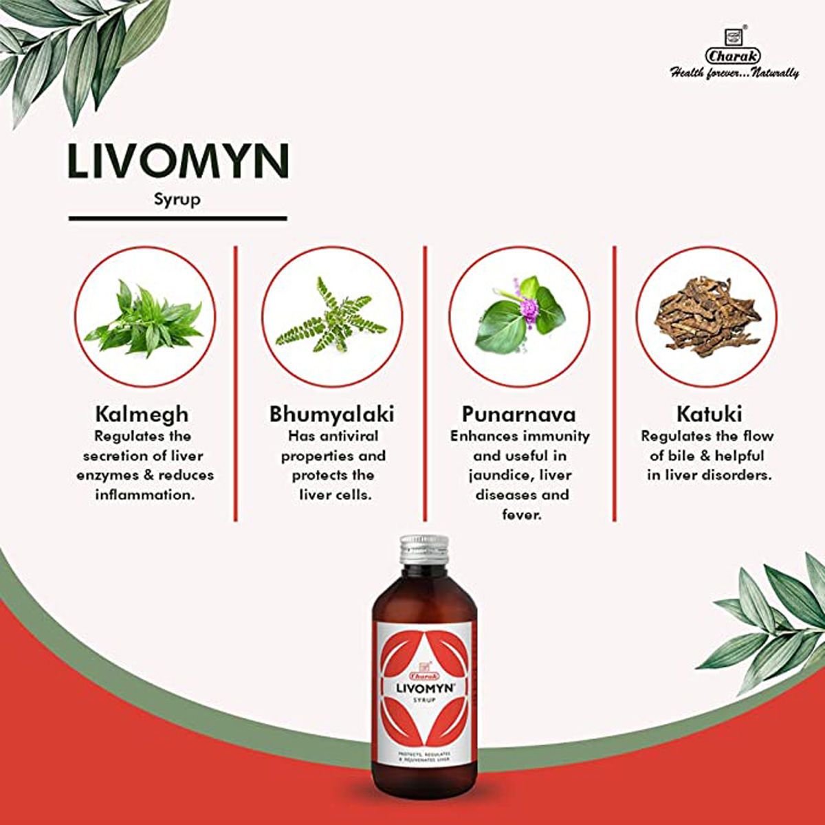 Charak Livomyn Syrup, 450 ml Price, Uses, Side Effects, Composition ...