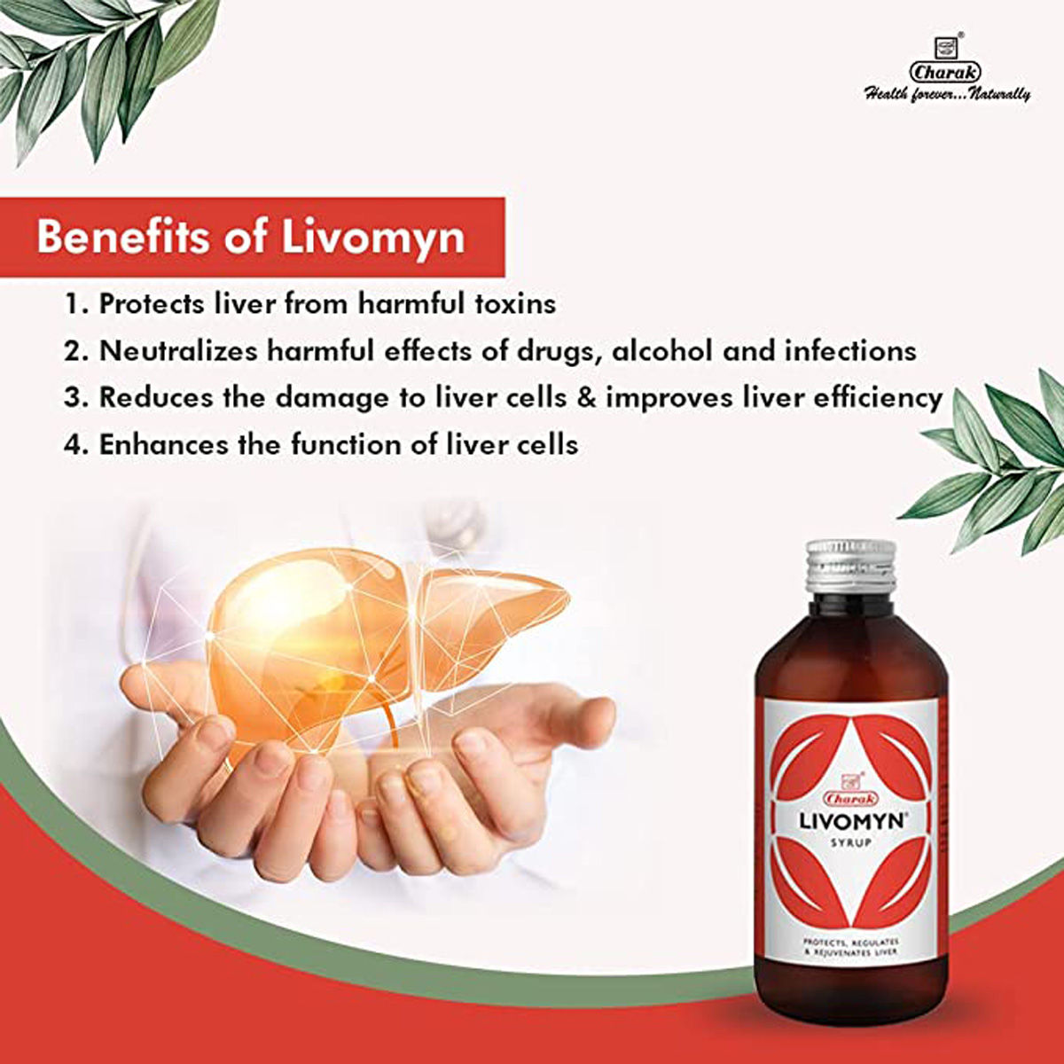 Charak Livomyn Syrup, 450 ml Price, Uses, Side Effects, Composition ...