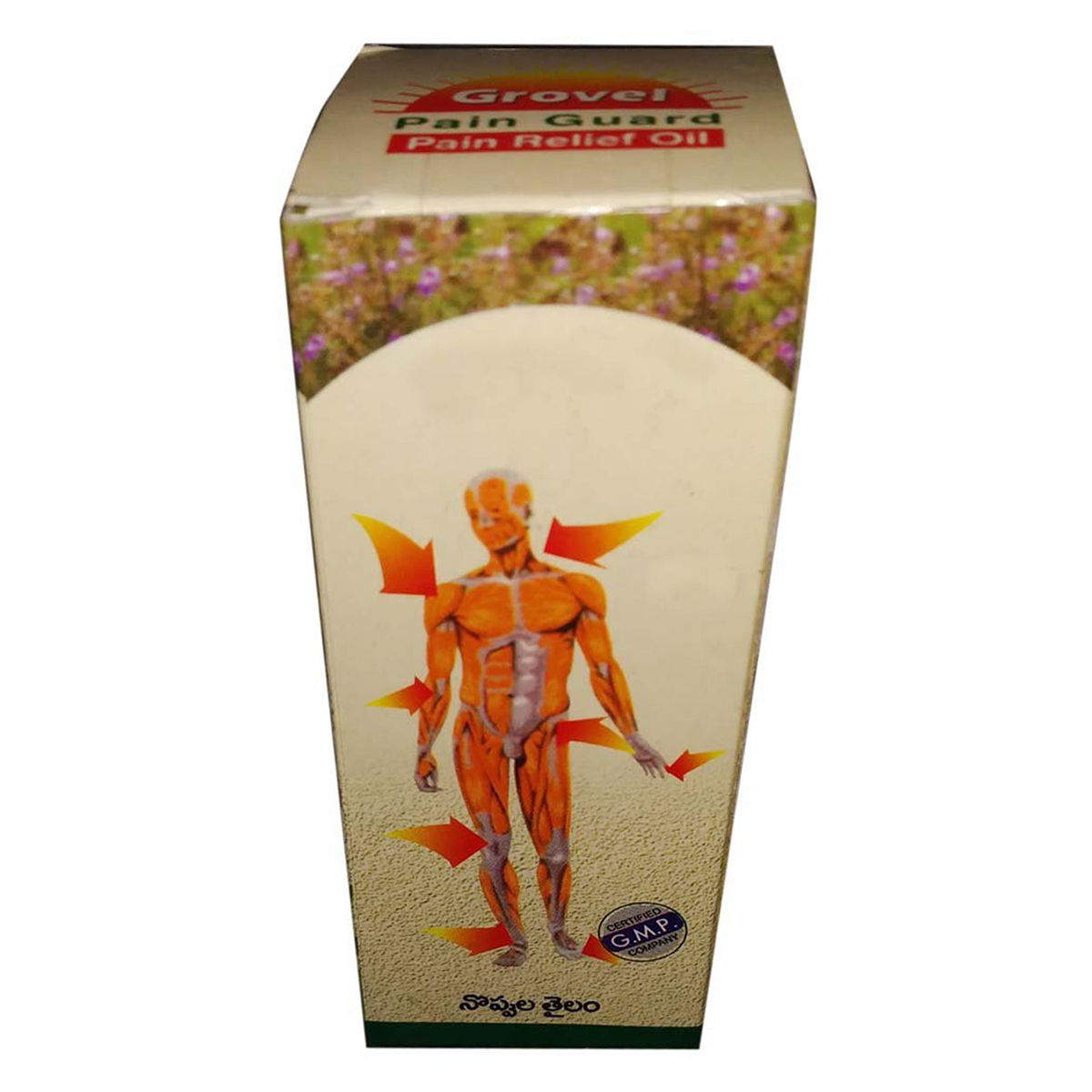 Buy Pain Guard Pain Relief Oil, 60 ml | 19 Minutes Delivery | Apollo ...