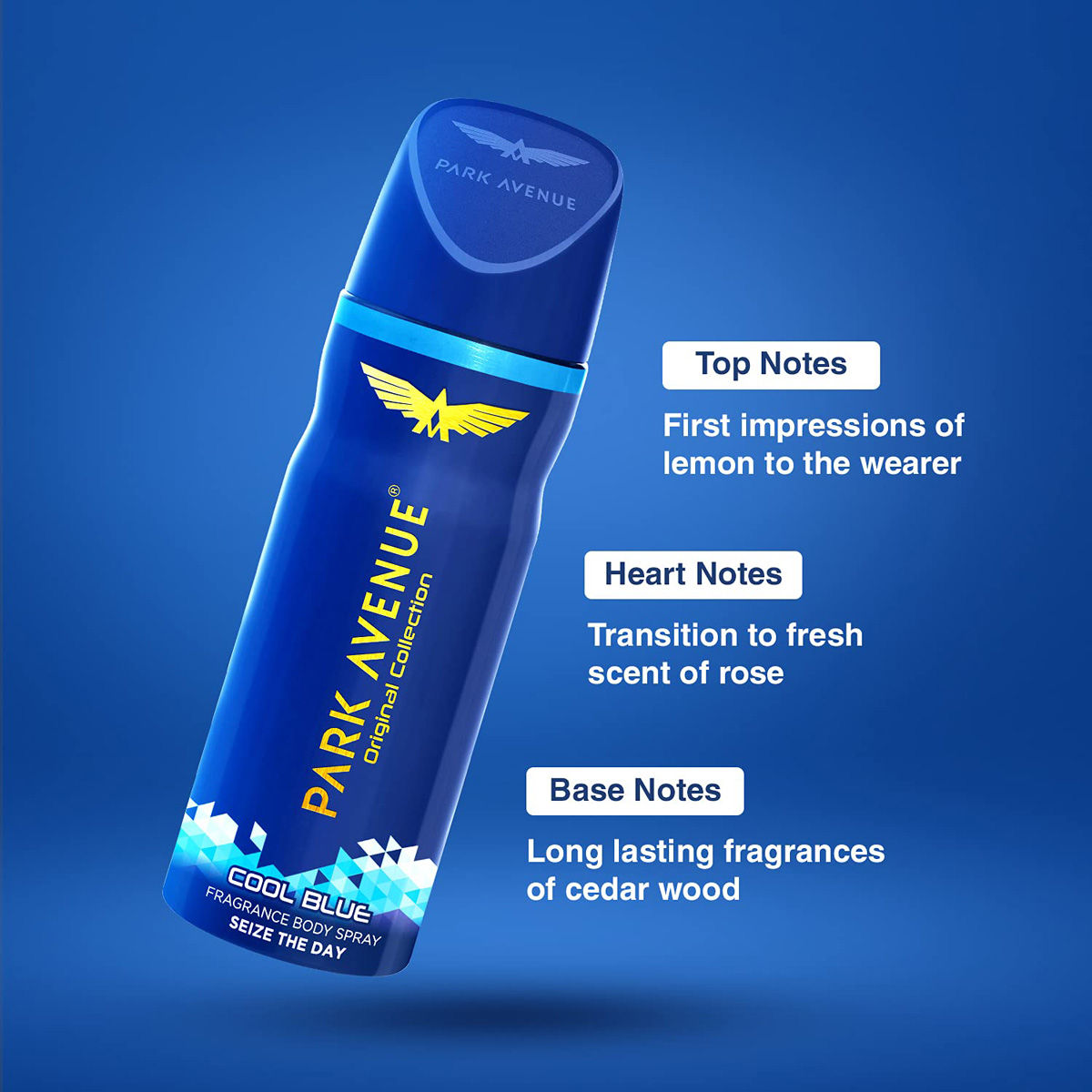 Park Avenue Cool Blue Freshness Deodorant Spray for Men, 100 gm Price ...