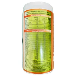 Buy Protisol Chocolate Flavour Protein Powder 500 gm | 19 Minutes ...