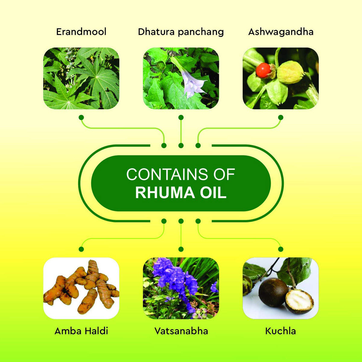 Baidyanath Rhuma oil, 50 ml Price, Uses, Side Effects, Composition ...