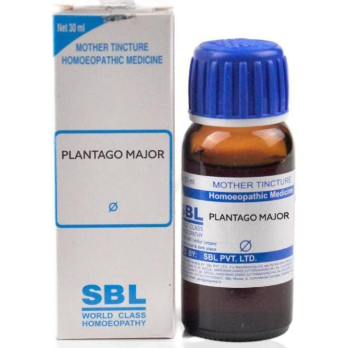 Buy SBL Plantago Major Q Mother Tincture, 30 ml | 19 Minutes Delivery ...